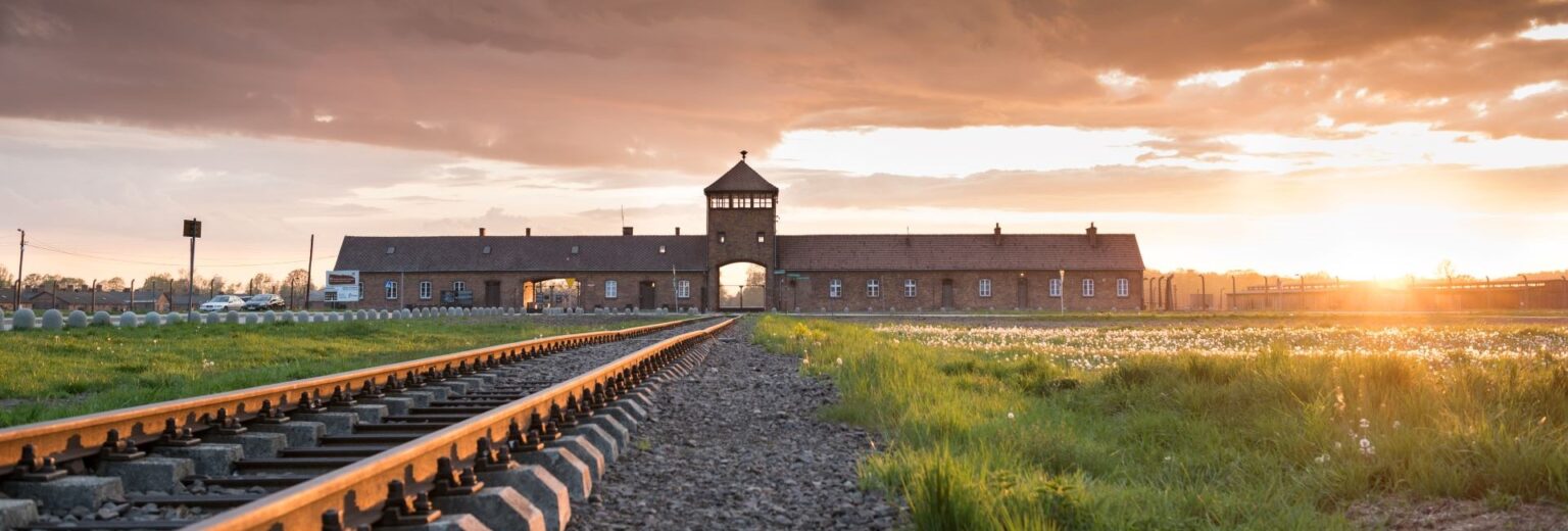 Authentic Israel - Travel Experiences for All Ages